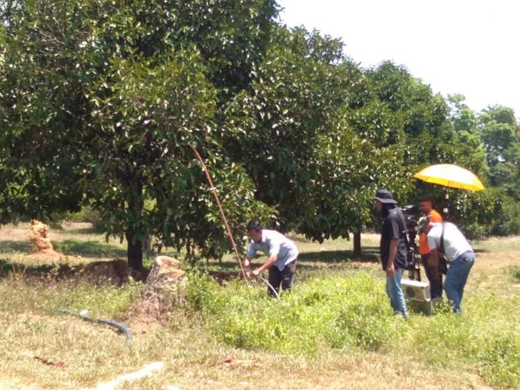 Penggambaran program i-Tani RTM Tajuk: Teknologi Moden Dalam Tanaman ...